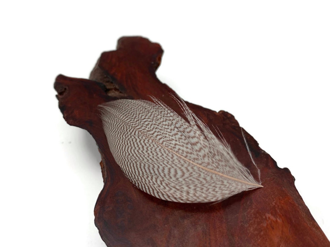 1 Pack - Natural Mallard Duck Flank Plumage Feathers 0.10 Oz. Fly Tying ...