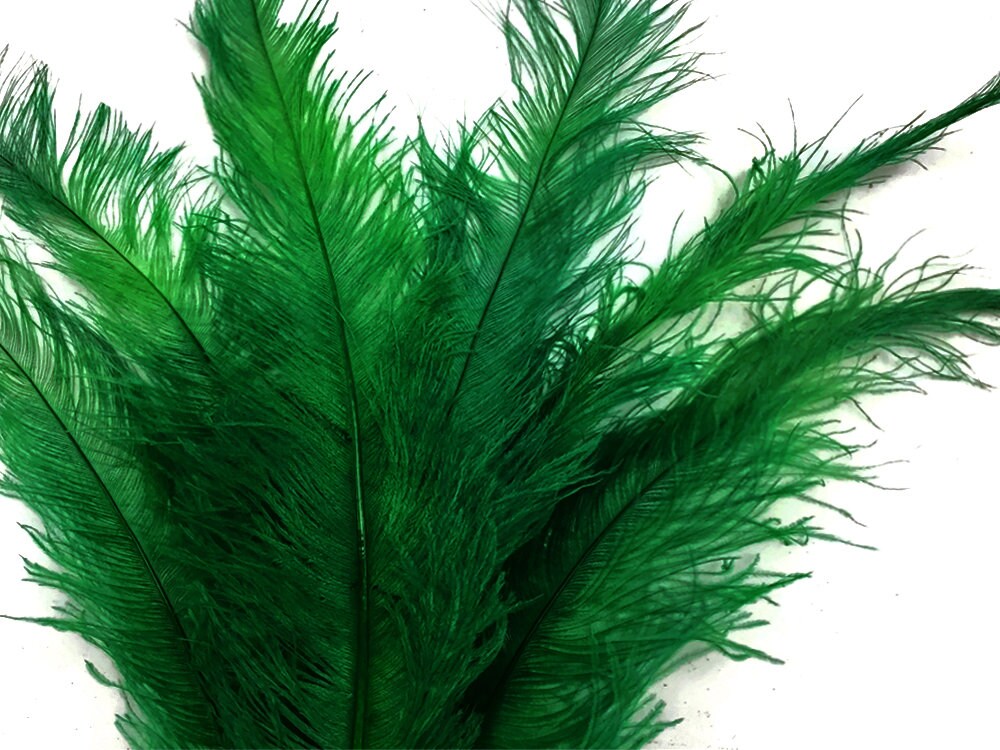Large Feathers, 1/2 Lb - 20-28" Emerald Green Ostrich Large Spads ...