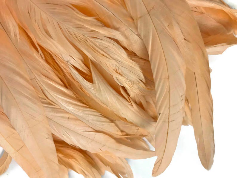 Rooster Tail Feathers 1 Yard 10-12 Champagne Bleach | Etsy