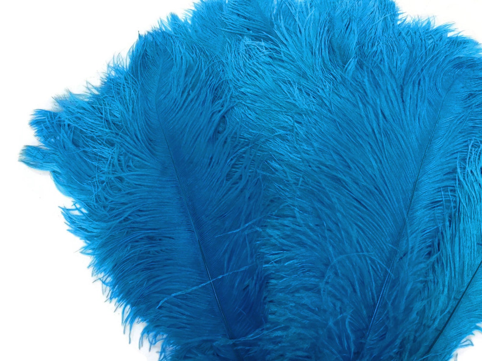 Ostrich Feathers, 100 Pieces - 8-10" Turquoise Blue Ostrich Dyed Drab ...