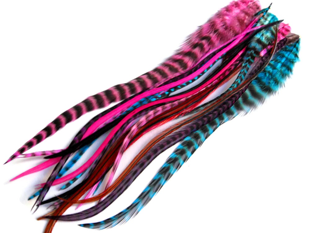Rooster Feathers, 1 Dozen - Medium Party Mix Grizzly Rooster Saddle ...