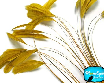 Stripped Feathers 1 Dozen Golden Yellow Stripped Rooster | Etsy