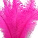 Super Long Feathers, 10 Pieces - 20-28" Hot Pink Ostrich Feather Spads ...
