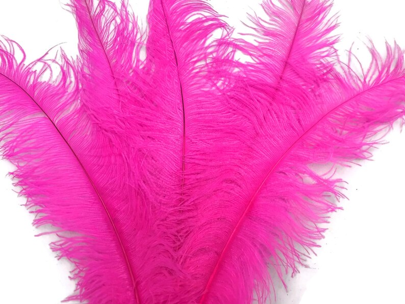 Super Long Feathers, 10 Pieces - 20-28" Hot Pink Ostrich Feather Spads ...