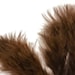 Down Feathers 1 Pack Brown Turkey Marabou Short Down Fluff - Etsy
