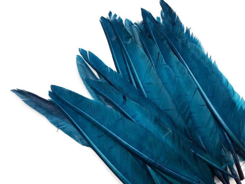 Duck Feathers, 1 Pack - Teal Blue Dyed Duck Primary Wing Pointer ...