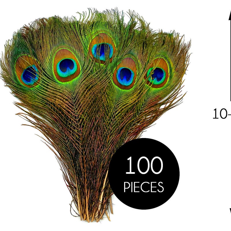 Tail Feathers Bulk - Etsy