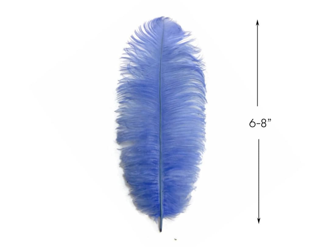 USA Feathers, 10 Pieces - 6-8" Light Blue Ostrich Dyed Drabs Body ...
