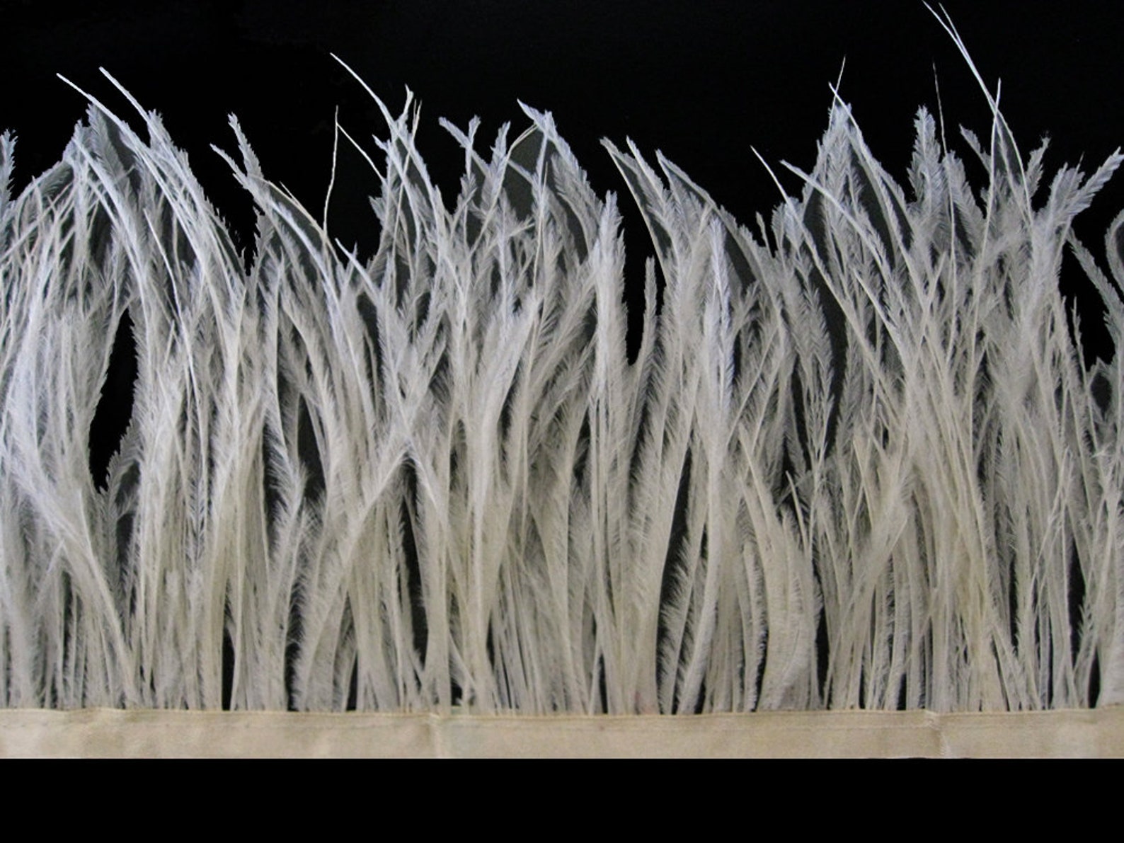 Feather Trim, 6 Inch Strip - Ivory Ostrich Fringe Trim Feather Craft ...
