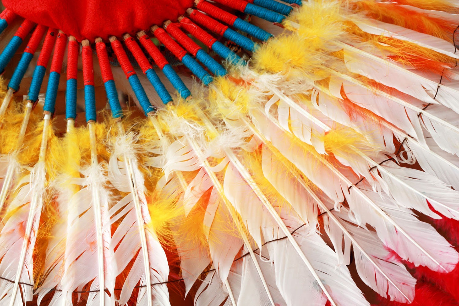 wholesale-turkey-wing-feathers-1-4-lb-white-turkey-rounds-etsy