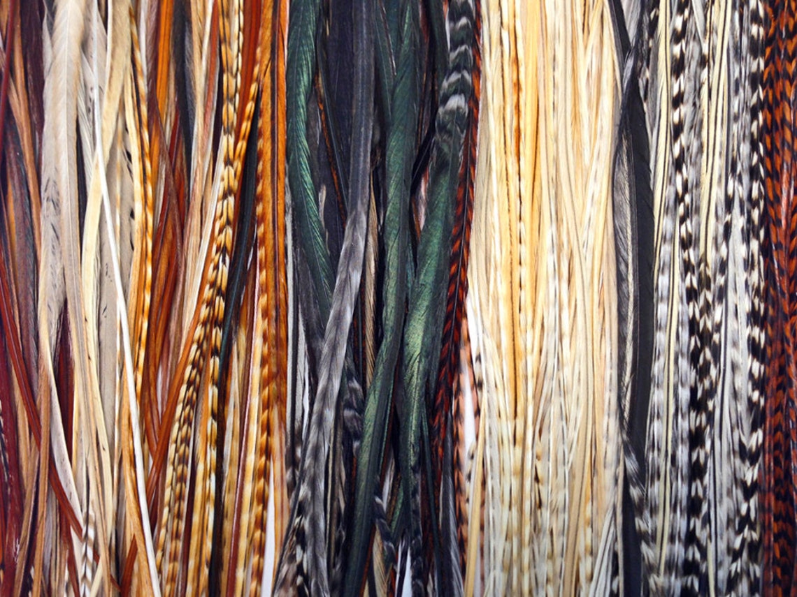 50 Pieces - Natural Thin Long Whiting Farms Rooster Saddle Hair ...