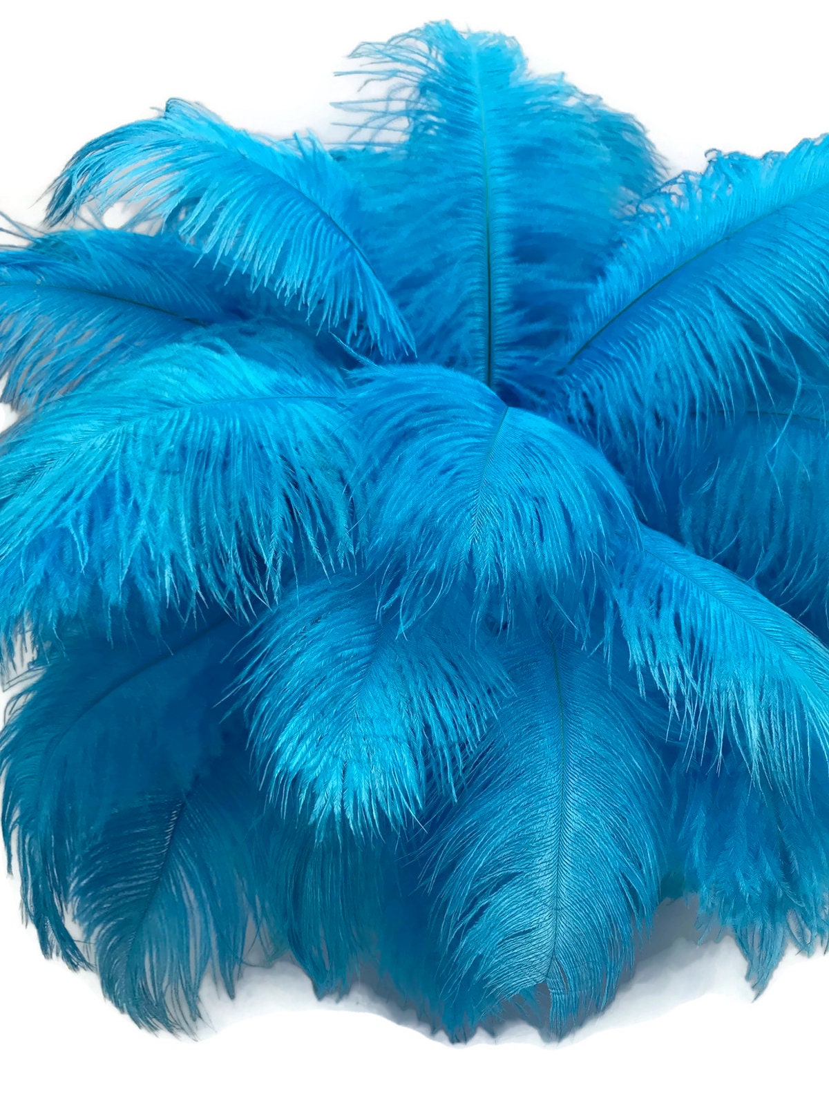 Plumas grandes Gatsby, 10 piezas - 19 - 24" azul turquesa avestruz ...