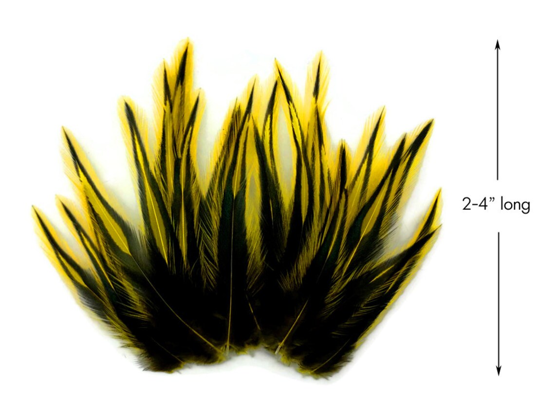 Rooster Feathers, 10 Pieces - Sunshine Yellow Dyed BLW Laced Short ...