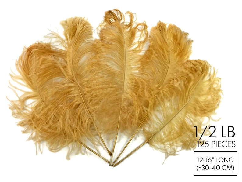 Old Gold Ostrich Feathers, 1/2 Lb - 12-16" Antique Gold Ostrich Tail ...