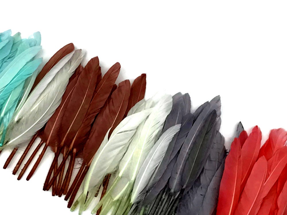 Duck Feathers, 1 Pack - Orange Duck Cochettes Loose Feathers 0.30 Oz ...