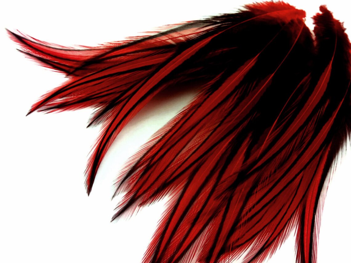Red Laced Pointy Feathers, 10 Pieces - Red Dyed BLW Laced Long Rooster ...