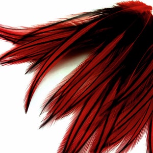 Red Laced Pointy Feathers, 10 Pieces - Red Dyed BLW Laced Long Rooster ...
