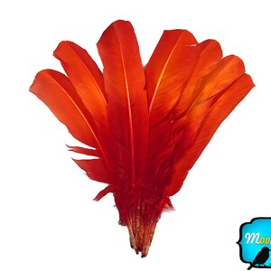 Eagle Feathers, 6 Pieces - FIERY RED Ombre Turkey Rounds Secondary Wing ...