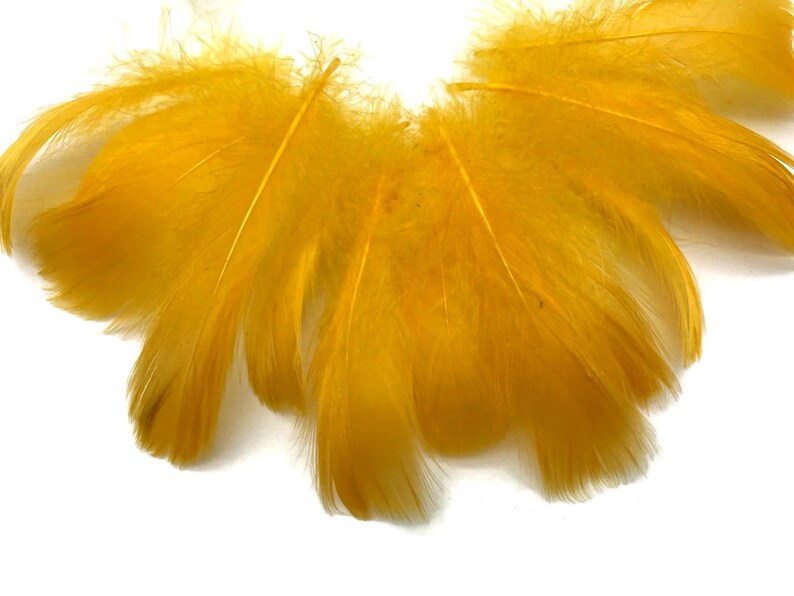 Goose Feathers, 1/4 Lb. - Golden Yellow Goose Coquille 2-3" Loose ...