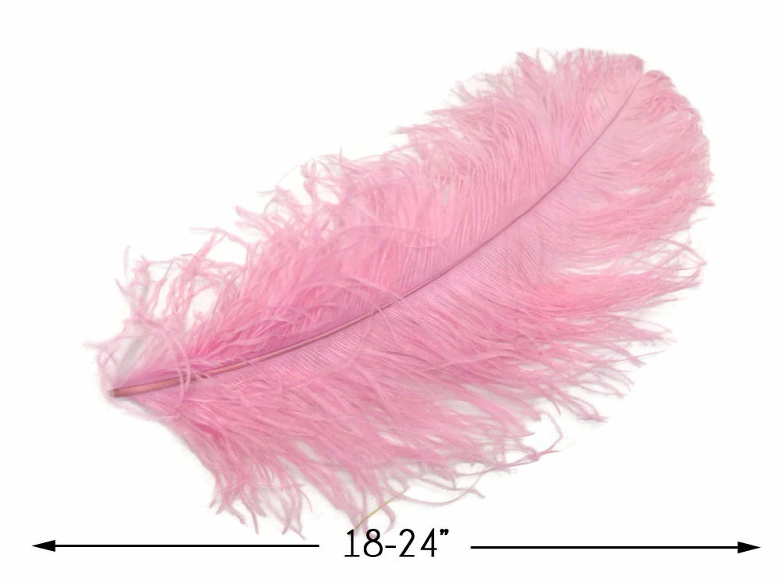 Huge Wedding Feathers 1/2 Lb. 18-24 Baby Pink Large | Etsy