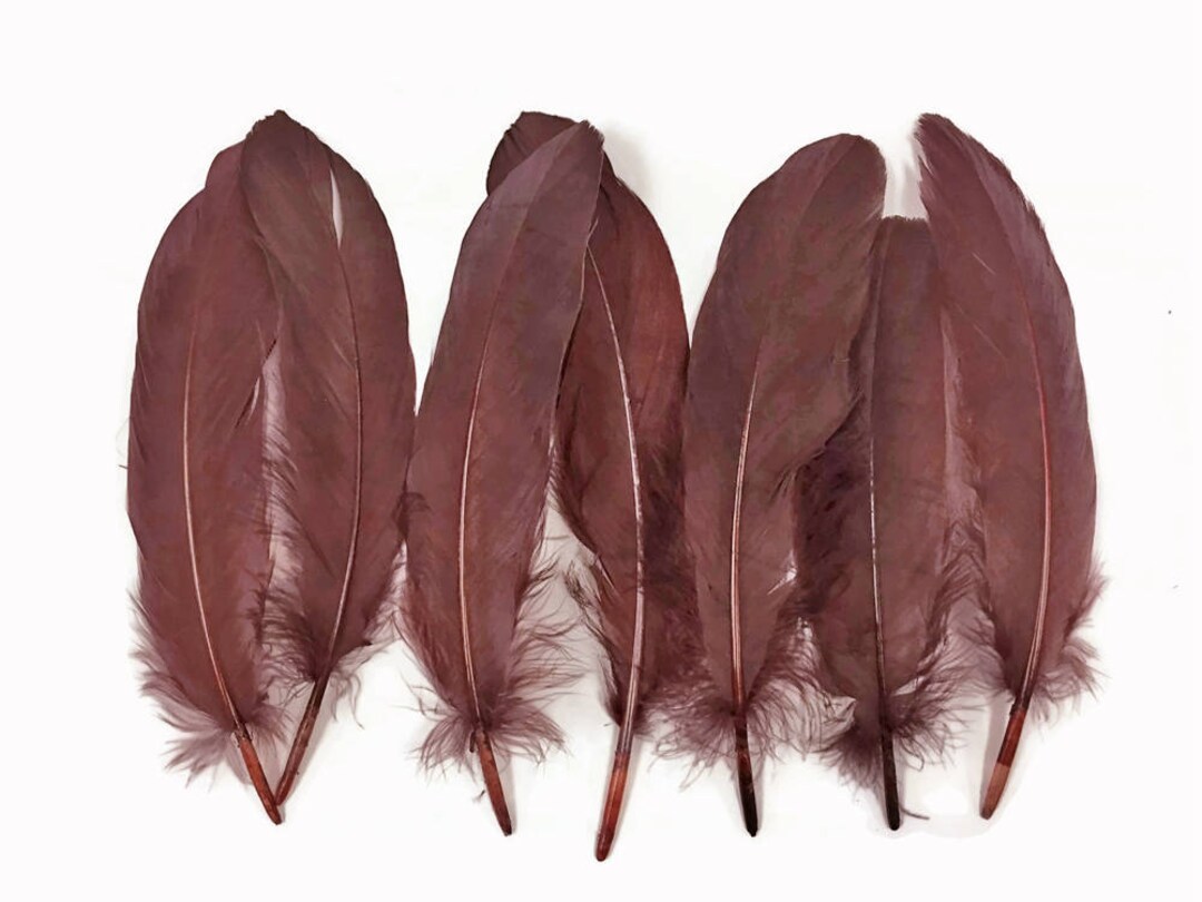 Goose Feathers, 1 Pack - Brown Goose Satinettes Loose Wing Quill ...