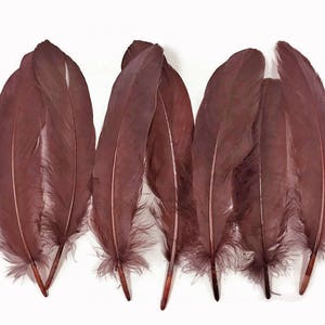 Goose Feathers, 1 Pack - Brown Goose Satinettes Loose Wing Quill ...