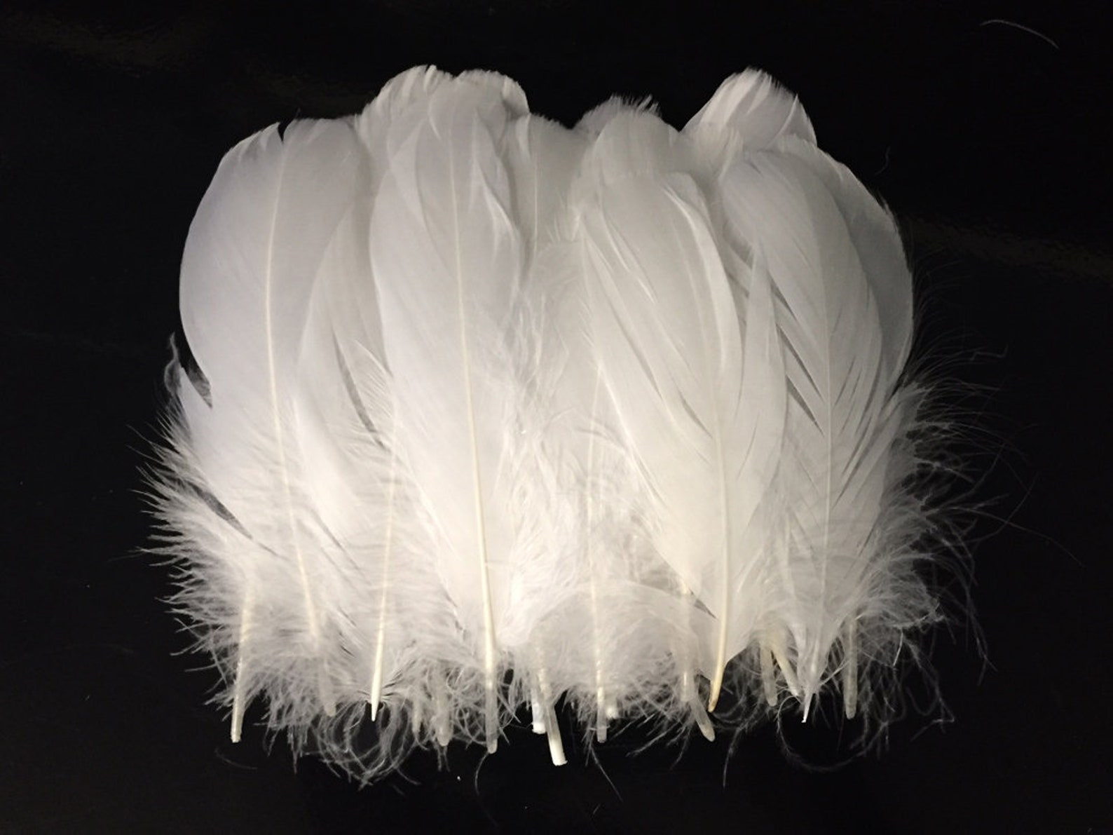 Wholesale Goose Feathers 1/4 Lb White Goose Nagoire | Etsy