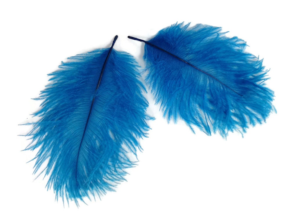 Mini Ostrich Feathers, 1 Pack - Turquoise Blue Ostrich Small Confetti ...