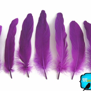 Purple Goose Feathers, 1 Pack - PURPLE Goose Satinettes Loose Feathers ...