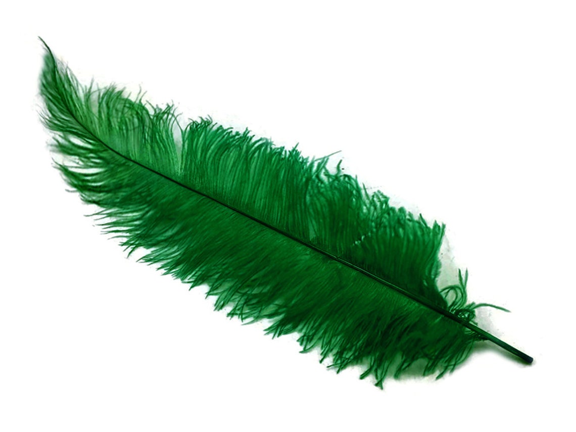 Large Feathers, 1/2 Lb - 20-28" Emerald Green Ostrich Large Spads ...