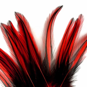 Red Laced Pointy Feathers, 10 Pieces - Red Dyed BLW Laced Long Rooster ...