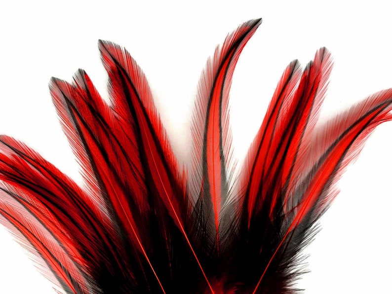 Red Laced Pointy Feathers, 10 Pieces - Red Dyed BLW Laced Long Rooster ...