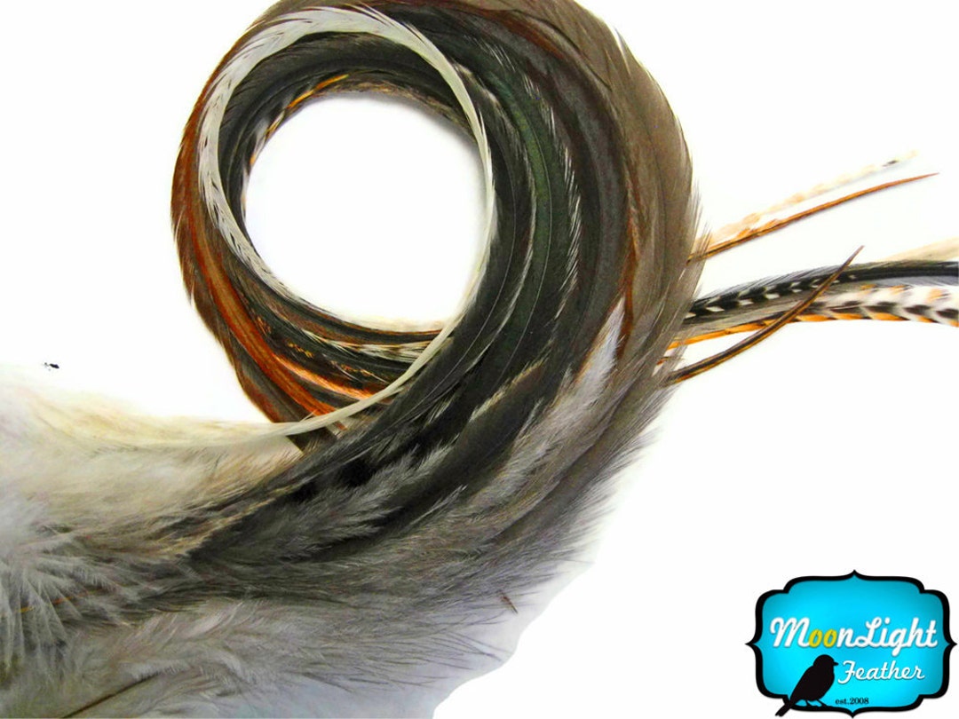 Ginger Hair Feathers, 6 Pieces - UNIQUE GINGER Thick Long Grizzly ...
