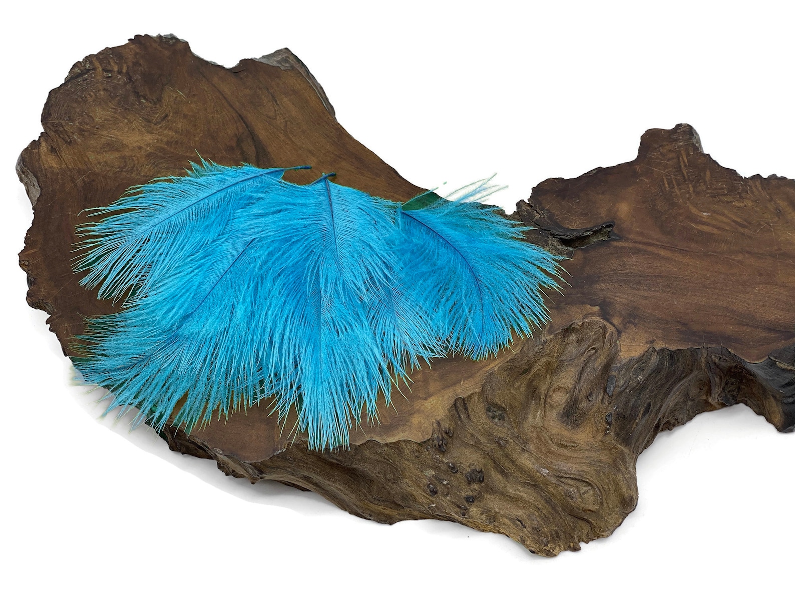 Mini Ostrich Feathers, 1 Pack - Turquoise Blue Ostrich Small Confetti ...