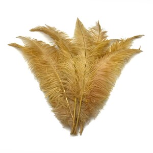 Super Long Feathers, 10 Pieces - 20-28" Antique Gold Ostrich Feather ...