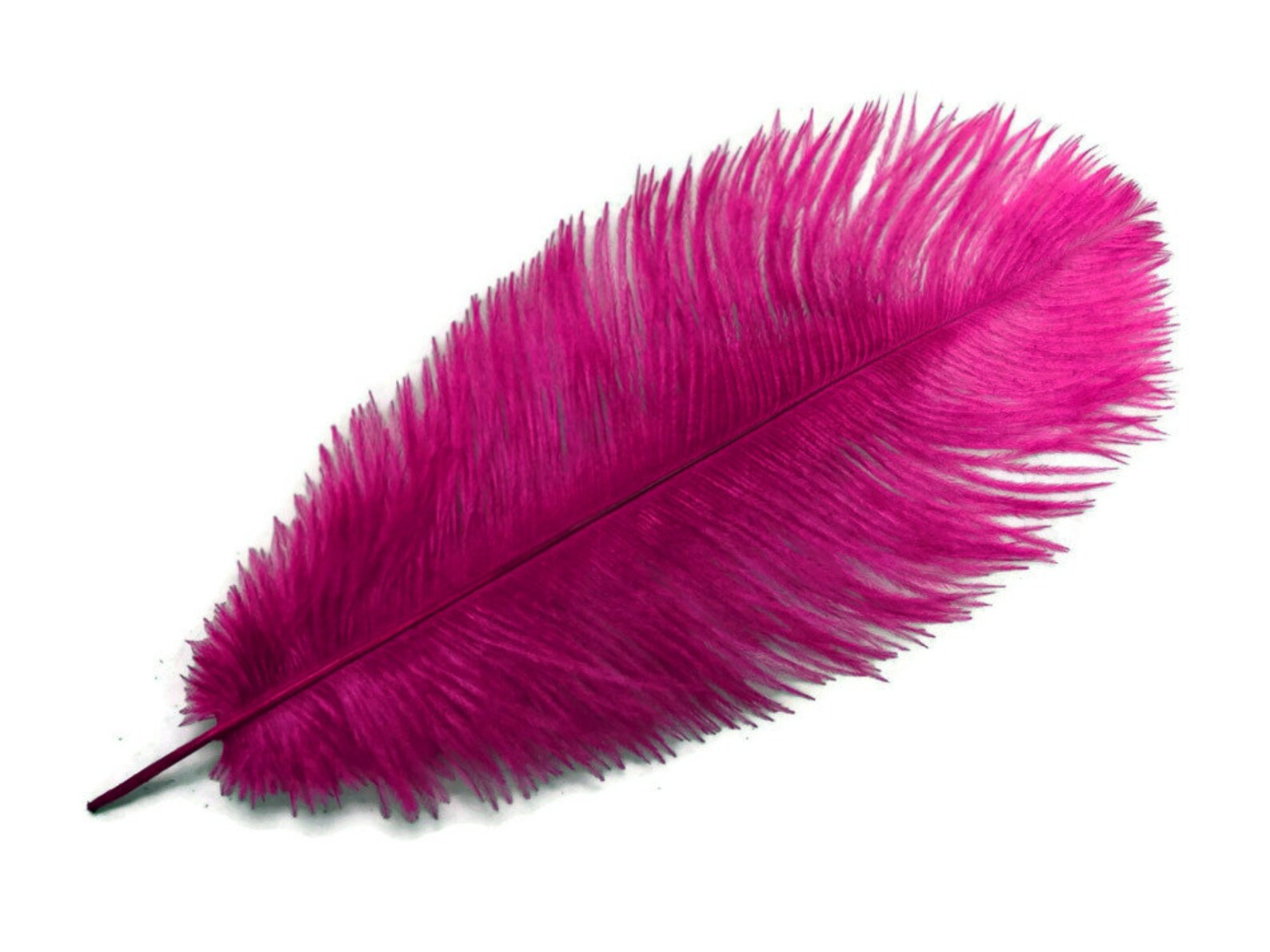 USA Feathers, 10 Pieces - 14-17" Magenta Ostrich Dyed Drab Large Body ...