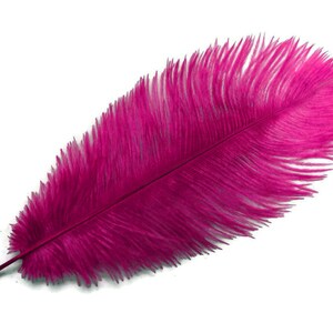 USA Feathers, 10 Pieces - 14-17" Magenta Ostrich Dyed Drab Large Body ...