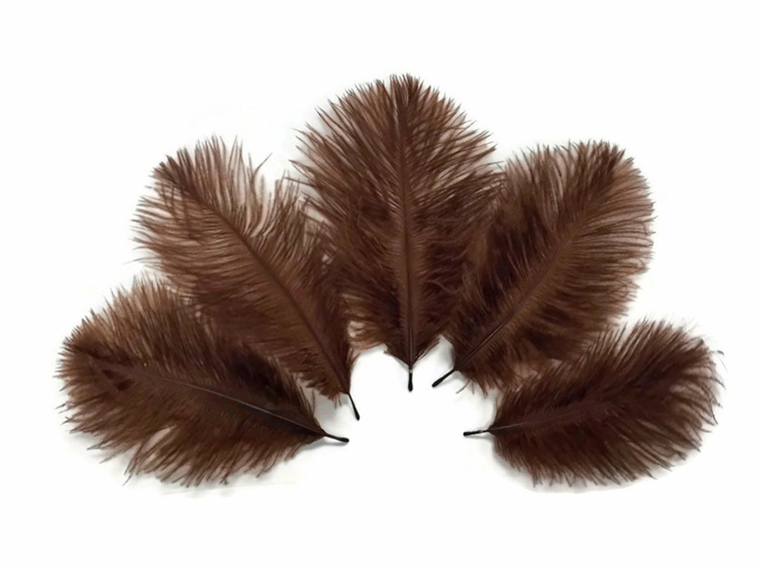 Mini Feathers, 1 Pack - Brown Ostrich Small Confetti Feathers 0.3 Oz ...