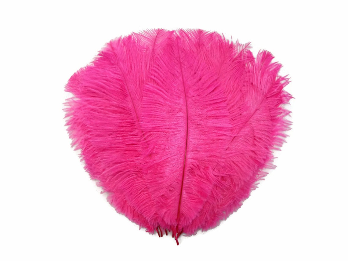 Ostrich Feathers 10 Pieces 8-10 Hot Pink Ostrich Dyed - Etsy