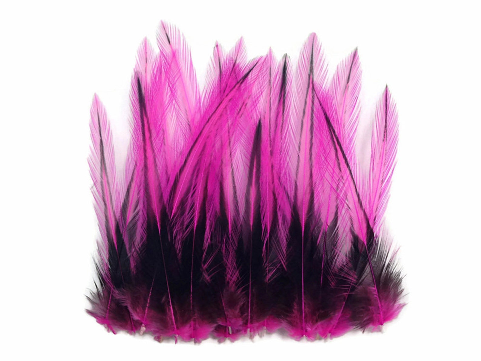 Fuchsia Laced Pointy Feathers, 10 Pieces - Hot Pink Dyed BLW Laced ...