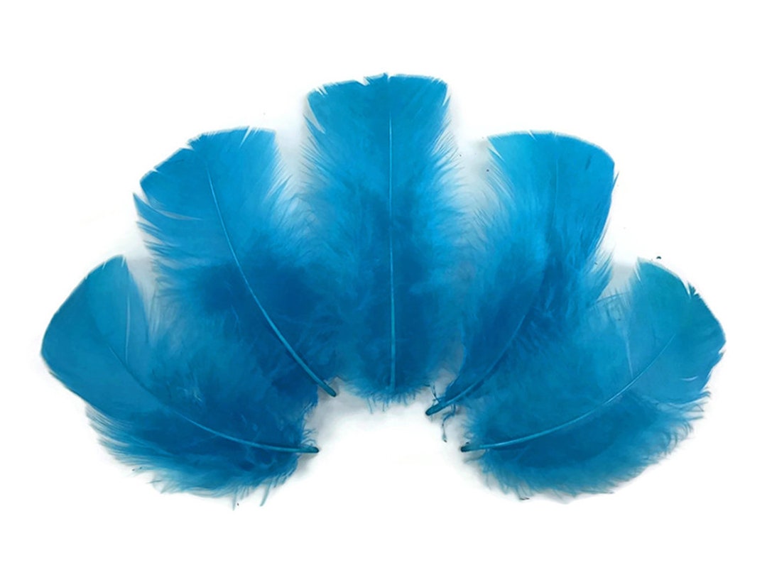 Turkey Feather, 1/4 Lbs. - Turquoise Blue Dyed Turkey T-base Body ...