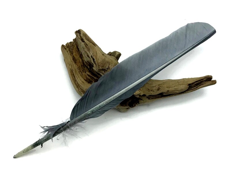 Harry Potter Feathers 6 Pieces Silver Gray Turkey Pointers - Etsy