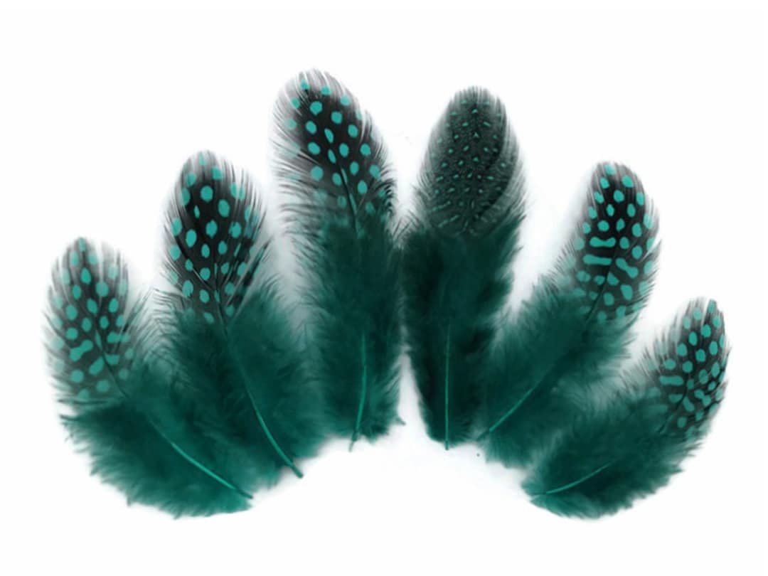 Polka Dot Feathers 14 Lb Peacock Blue Guinea Hen Plumage Polka Dot 5707