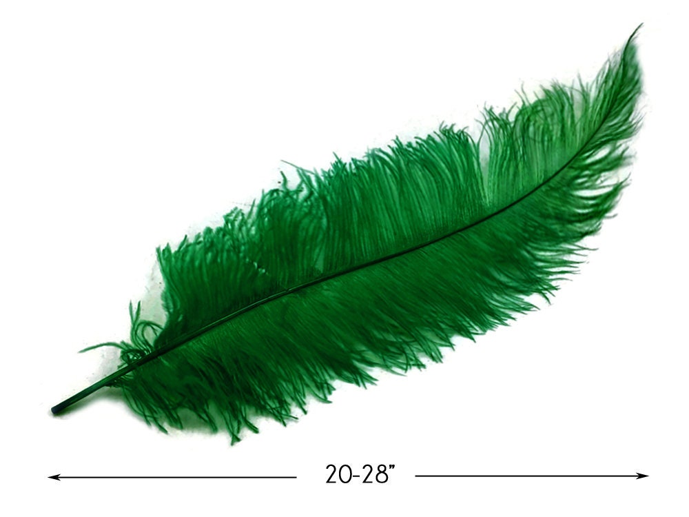 Large Feathers, 1/2 Lb - 20-28" Emerald Green Ostrich Large Spads ...