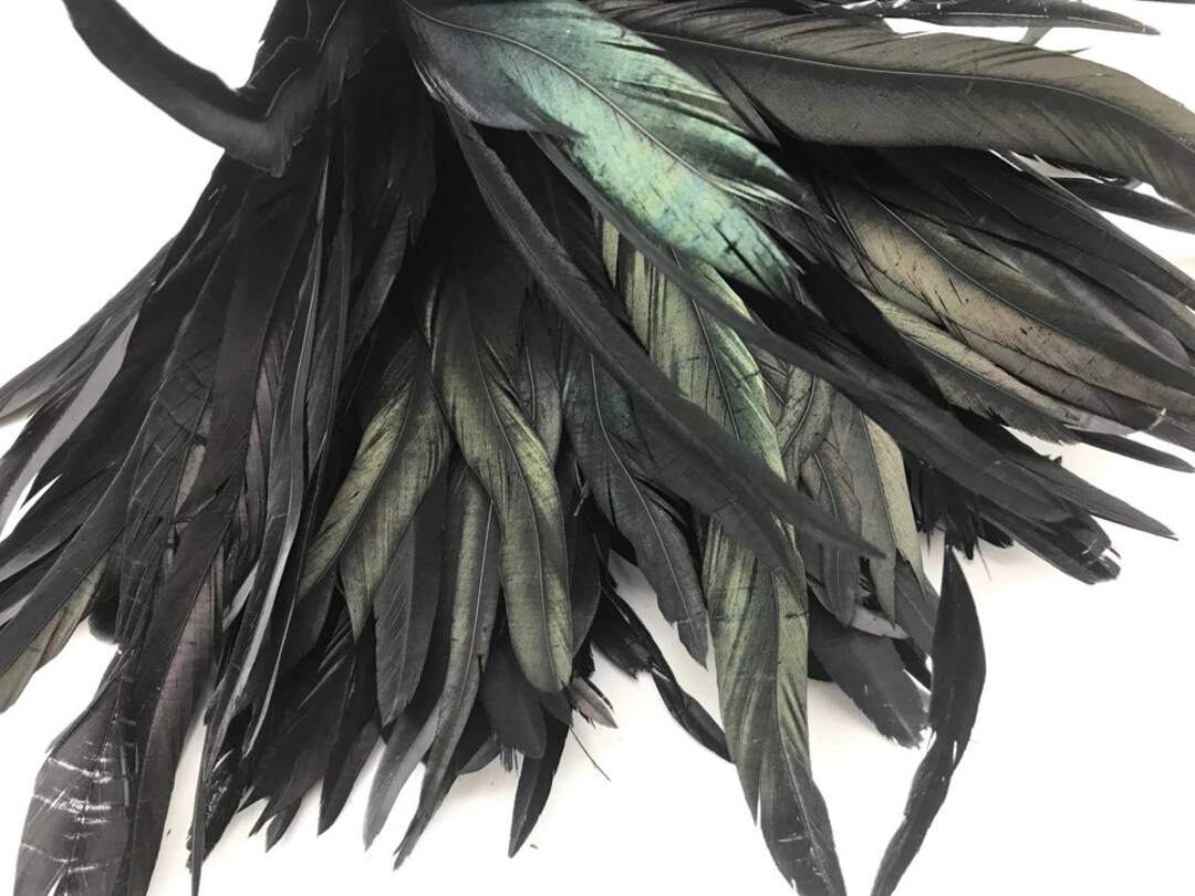 2.5 Inch Strip - 14-16" Black Strung Natural Bleach & Dyed Coque Tails ...