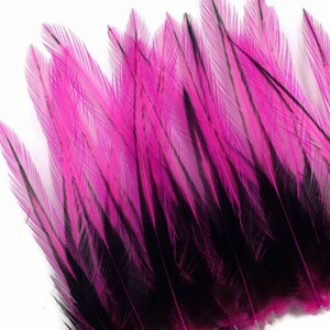 Fuchsia Laced Pointy Feathers, 10 Pieces - Hot Pink Dyed BLW Laced ...