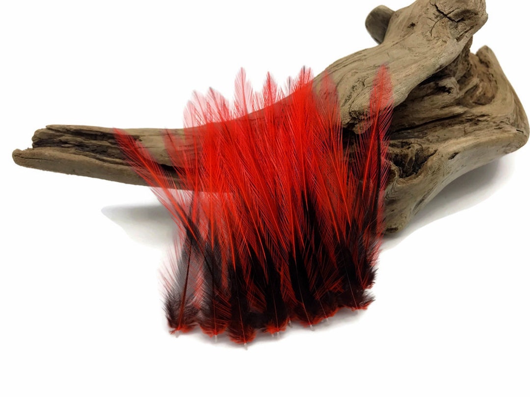 Red Laced Pointy Feathers, 10 Pieces - Red Dyed BLW Laced Short Rooster ...