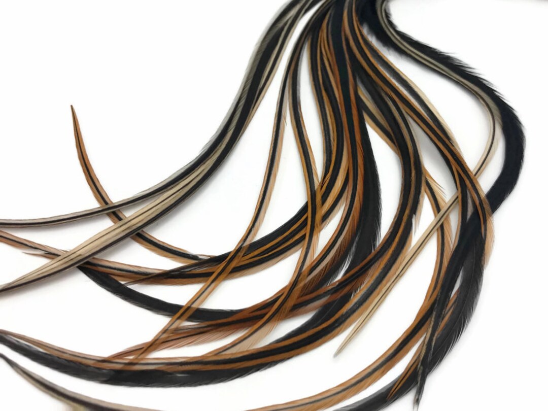 Real Long Feathers, 6 Pieces - Furnace Thick Long Rooster Hair ...
