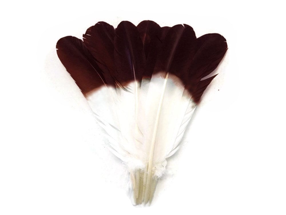 Eagle Feathers 6 Pieces Brown Tipped Imitation | Etsy