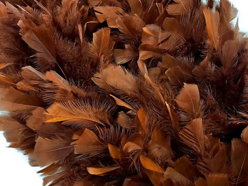 Turkey Feather Boa 2 Yards Brown Turkey Flat Heavyweight - Etsy